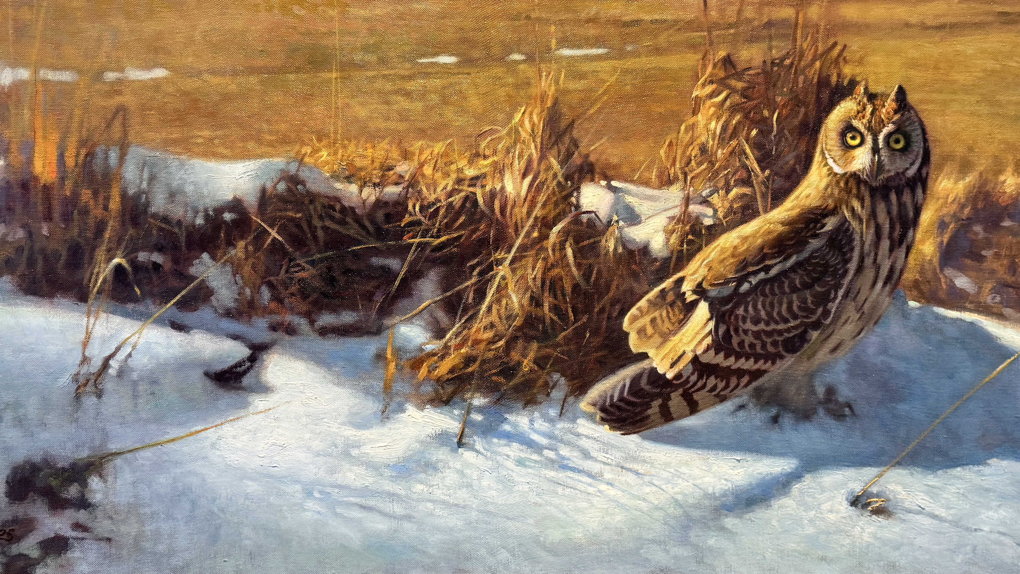 Flint Institute of Arts (en-US) | Art School Exhibitions